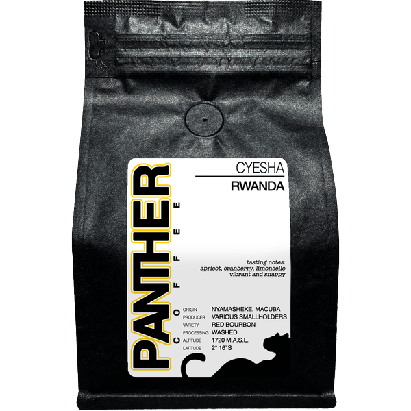 Cyesha Subscription | Panther | Beanz