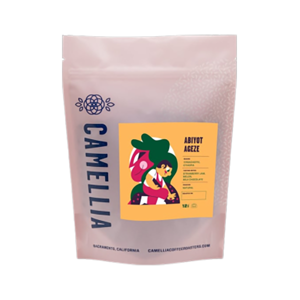Ethiopia Abiyot Ageze Subscription | Camellia | Beanz